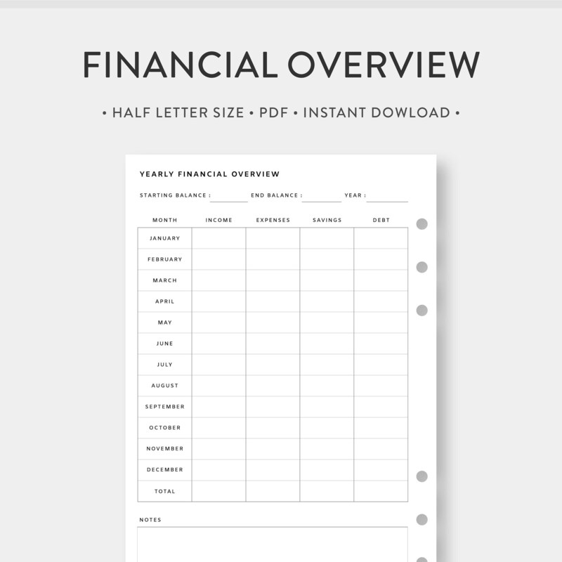 Financial Overview Template - Etsy