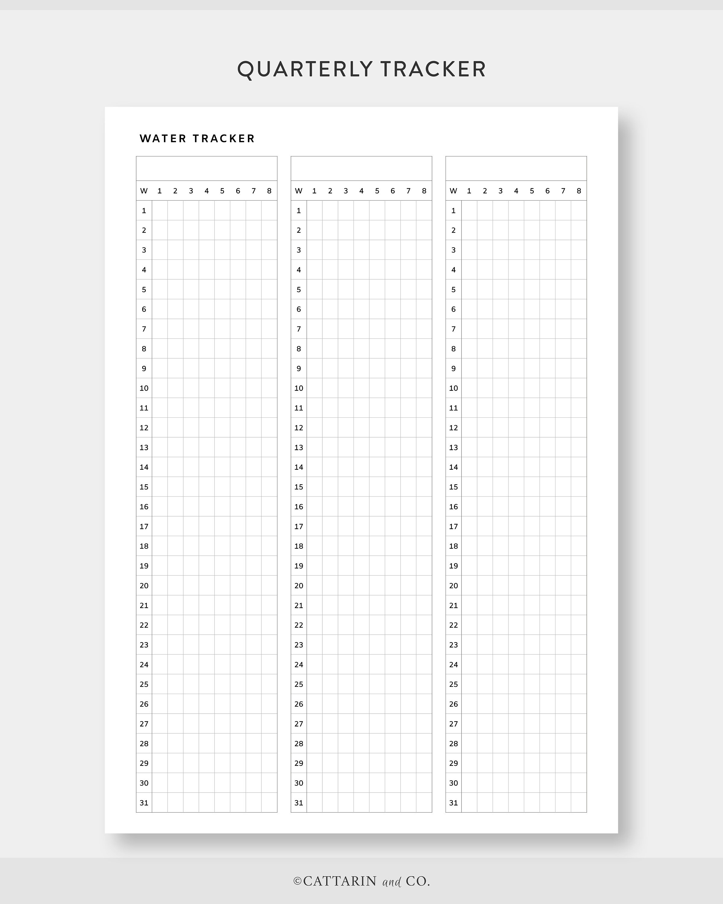 A4 US Letter, Water Tracker Printable Quarterly, Monthly Tracker - Etsy