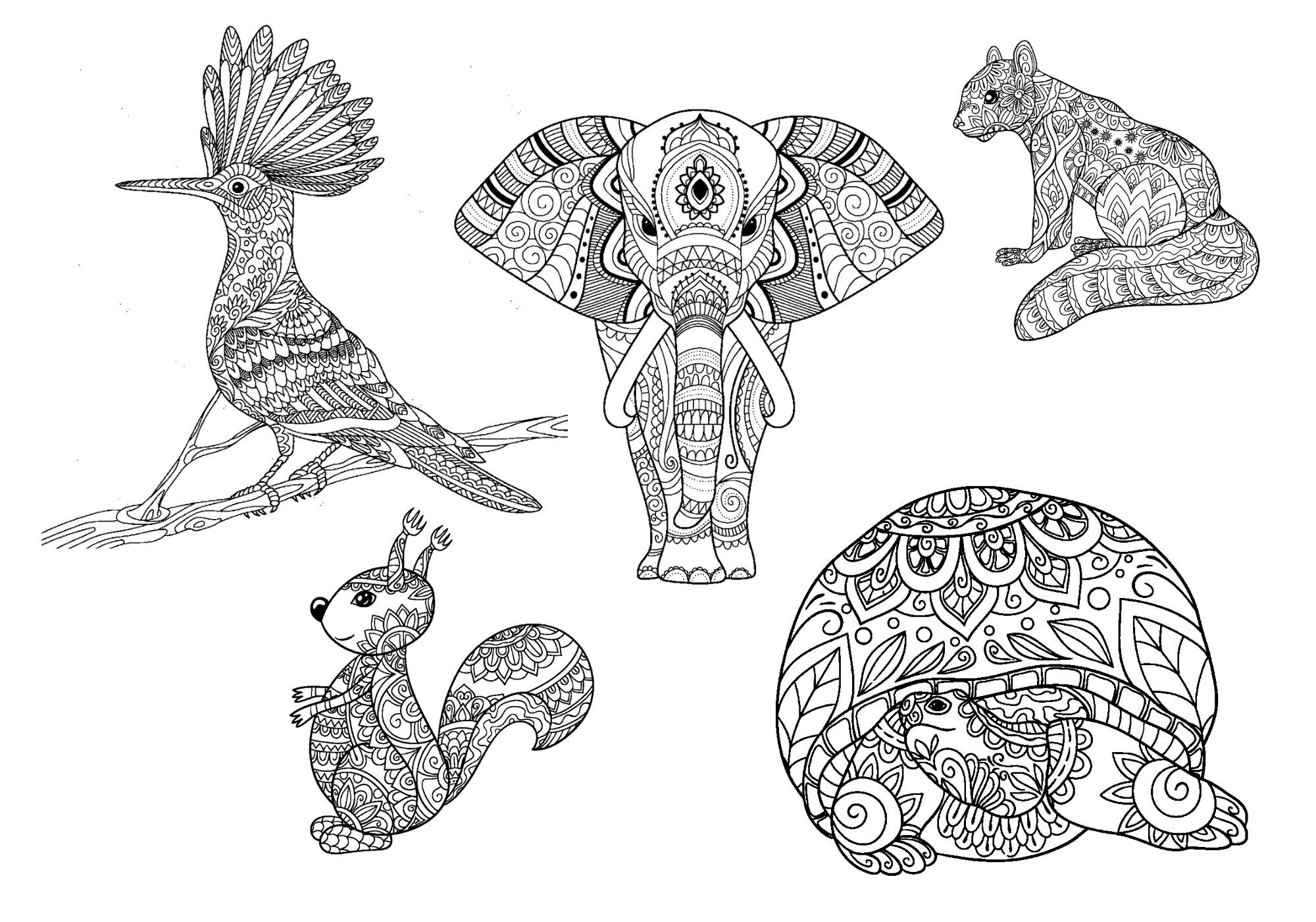 Coloring for Mindfulness vol. 1 50 pages with animals | Etsy