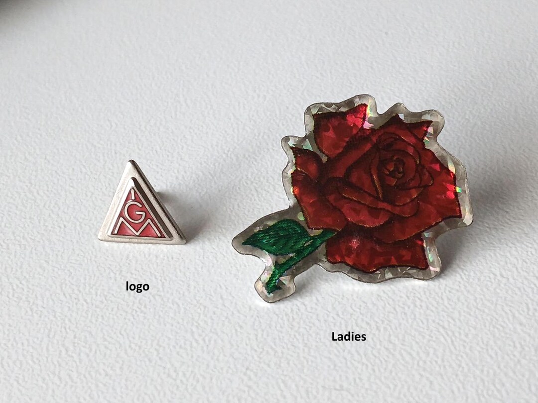 IG Metall Pins - A Touch of Solidarity and Strength! - Etsy
