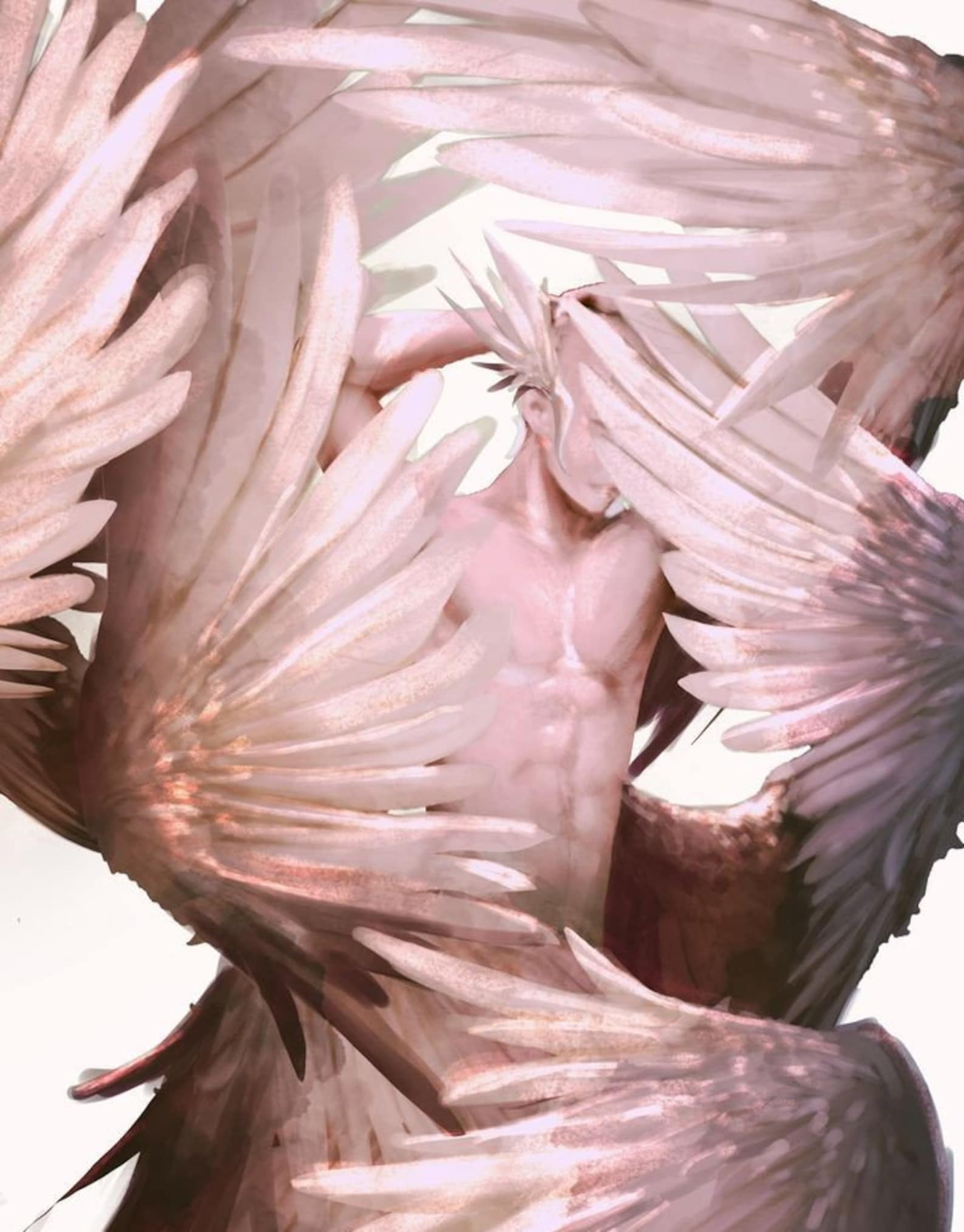 Etheric Wings Angelic Activation - Etsy