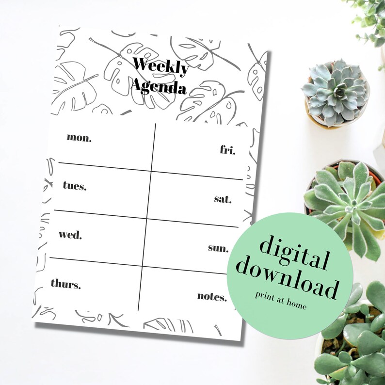 Printable Weekly Monstera Calendar Blank Weekly Planner A4 - Etsy