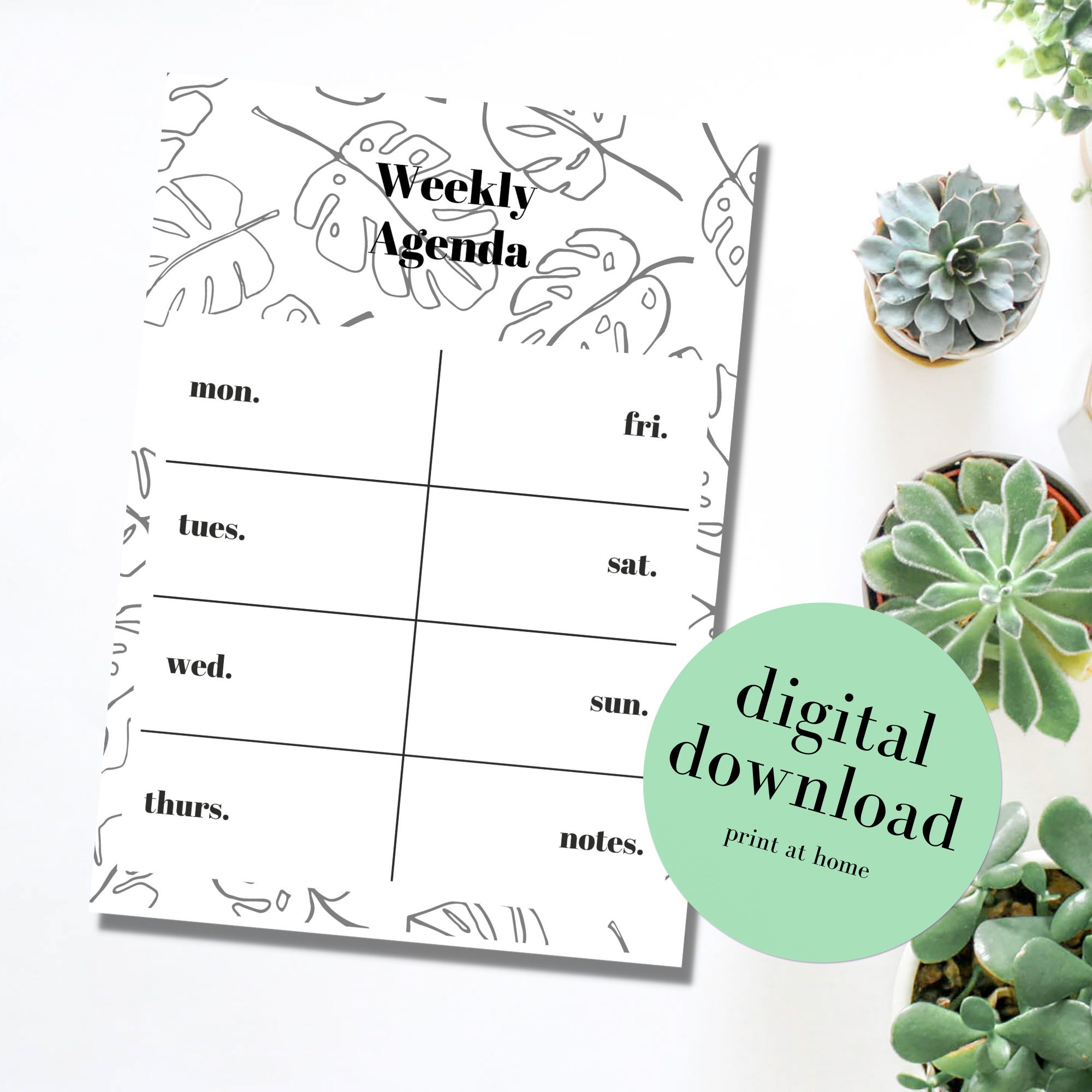 Printable Weekly Monstera Calendar Blank Weekly Planner A4 - Etsy