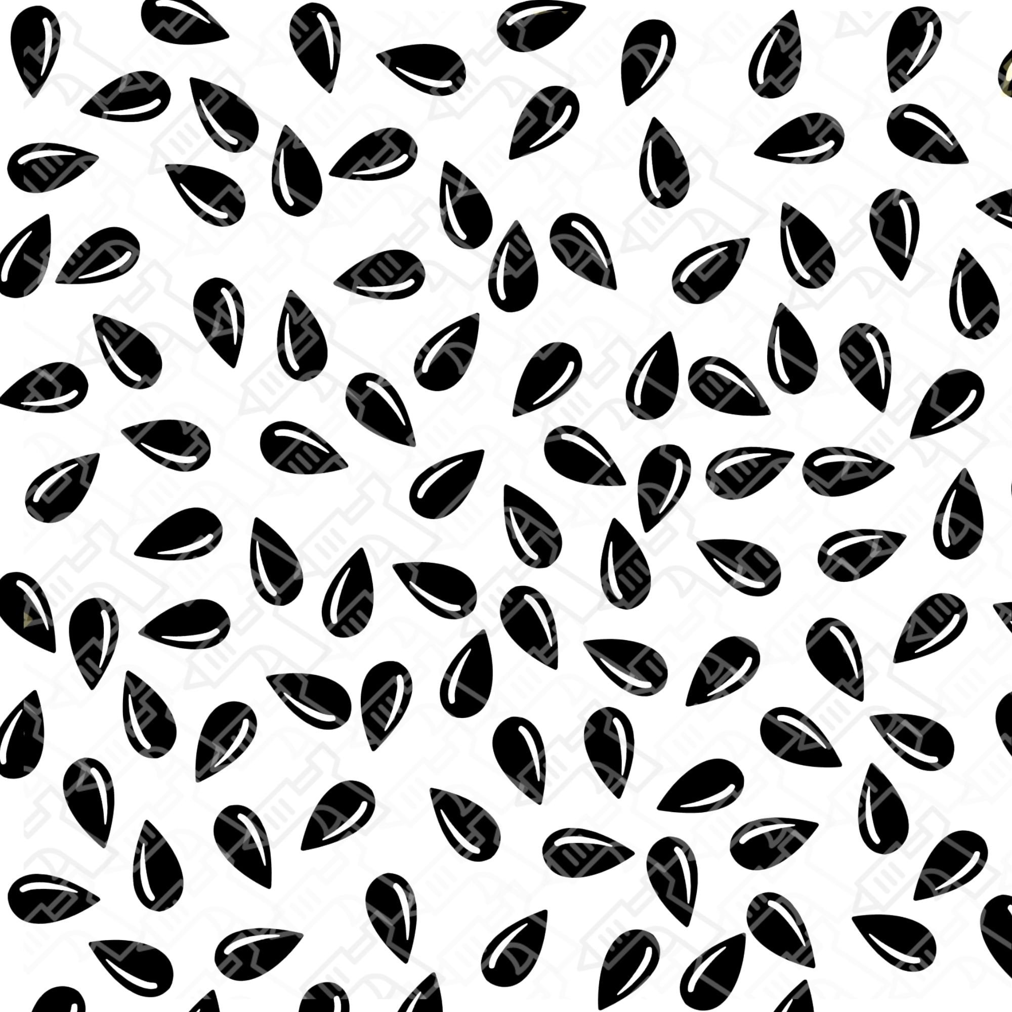 Single Watermelon Seed Clip Art