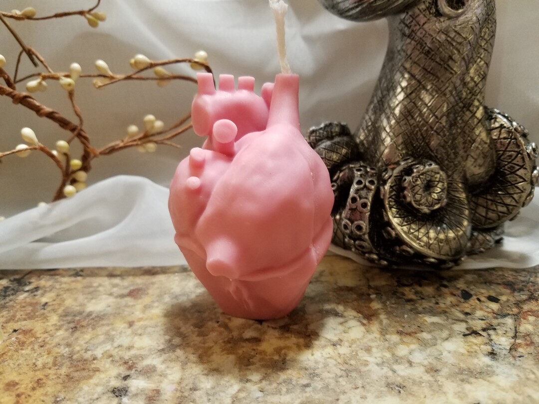 Anatomical Heart Shaped Novelty Candle Unique Realistic Heart - Etsy