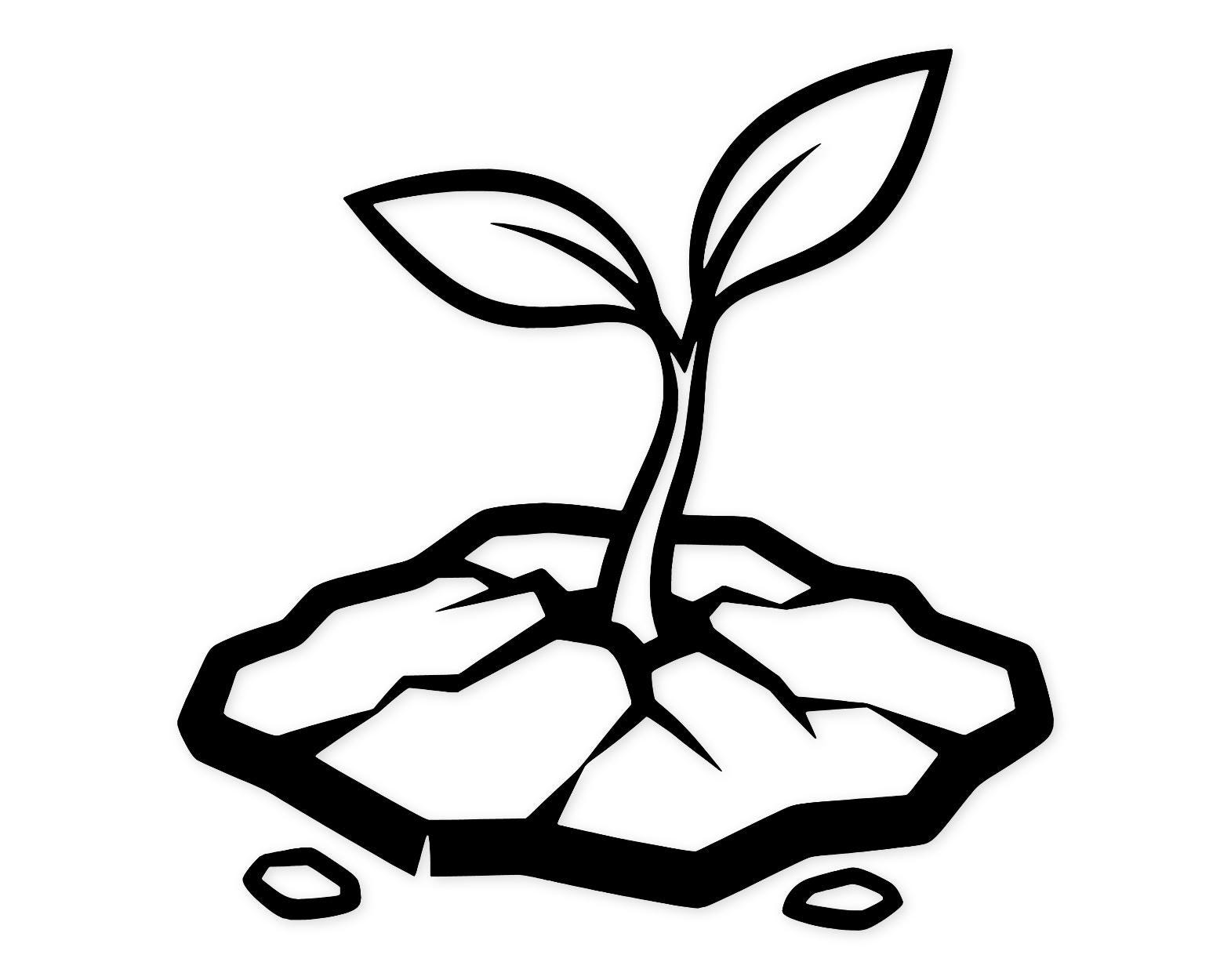 New Growth Sprout Svg Png: Bold Lines for Cricut Projects - Etsy