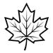 Classic Maple Leaf Svg Png: Cut Ready Digital Design for Cricut ...