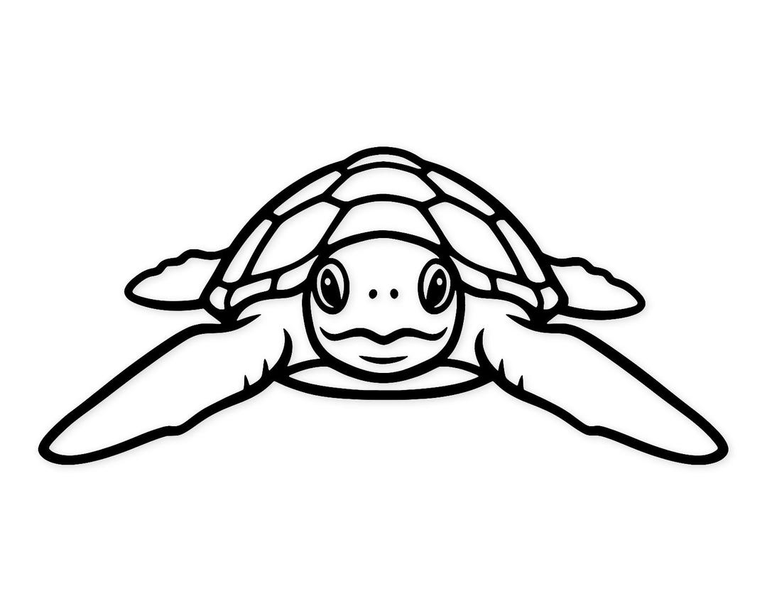 Baby Turtle Hatchling Svg Png: Cut Ready Digital Design for Cricut ...