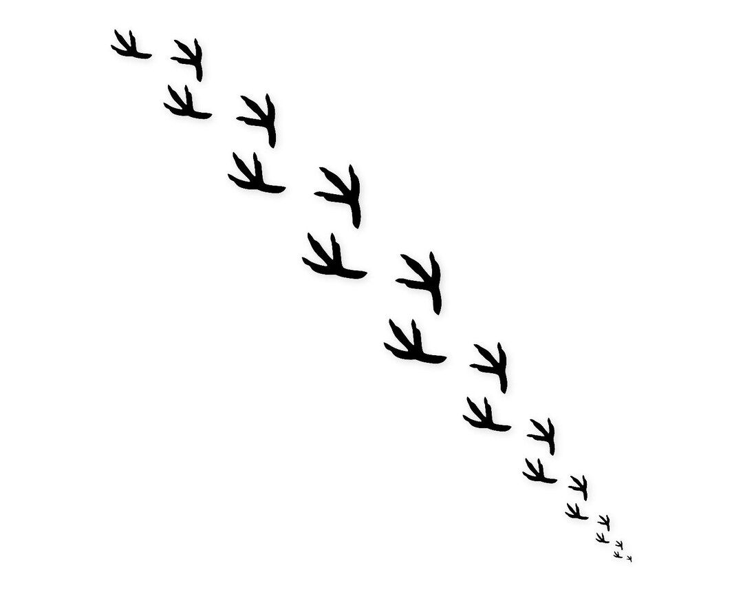 Anka Bird Svg Png: Bold Silhouette Design for Craft Projects - Etsy