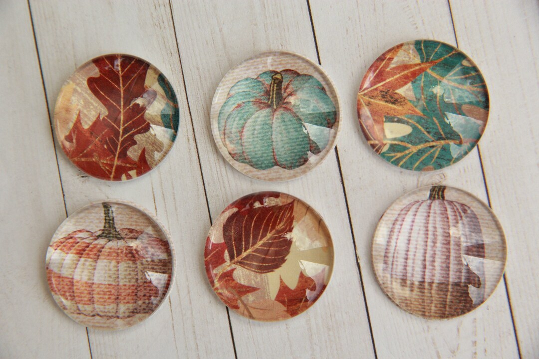 Pumpkin Magnets Leaf Magnets Fall Magnets Set of 6 Glass Magnets Gift ...