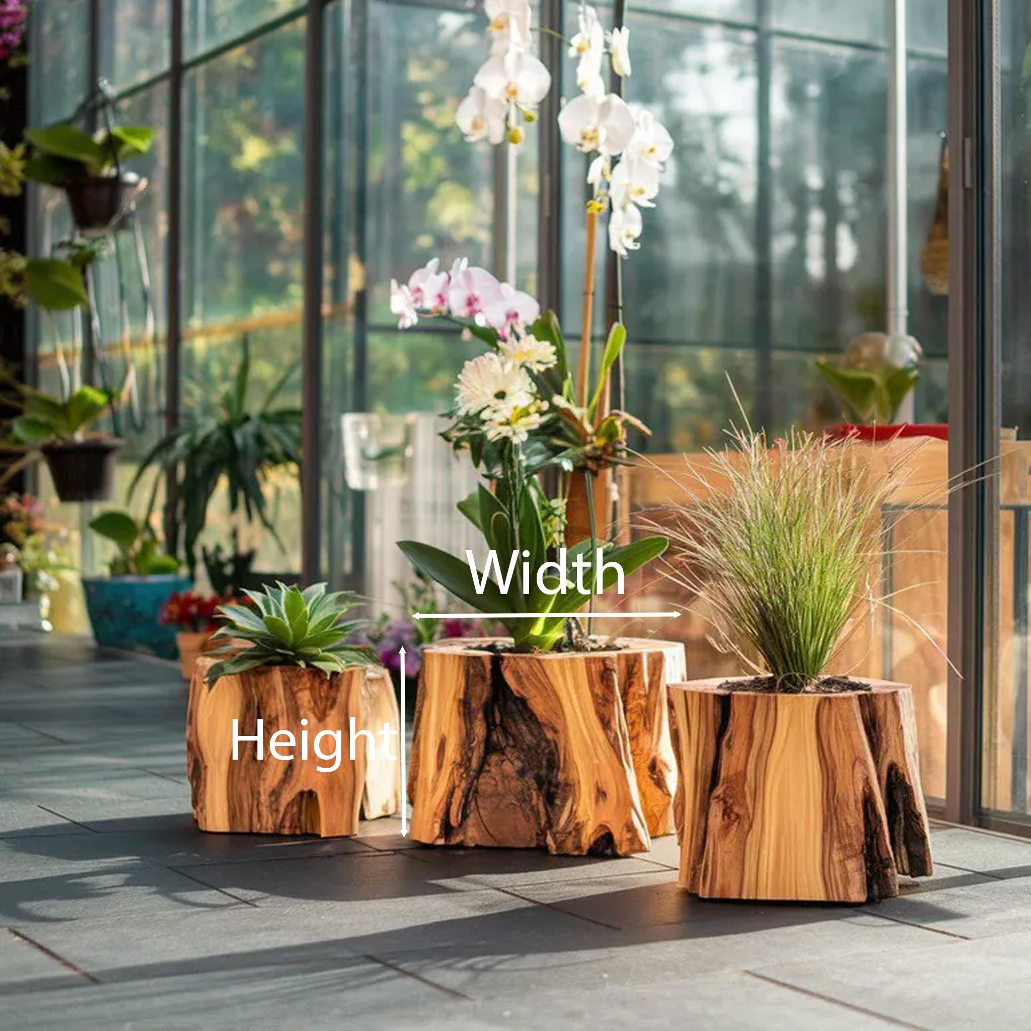 Unique Wooden Tree Stump Planter, Wooden Planter Rustic - Various Sizes ...