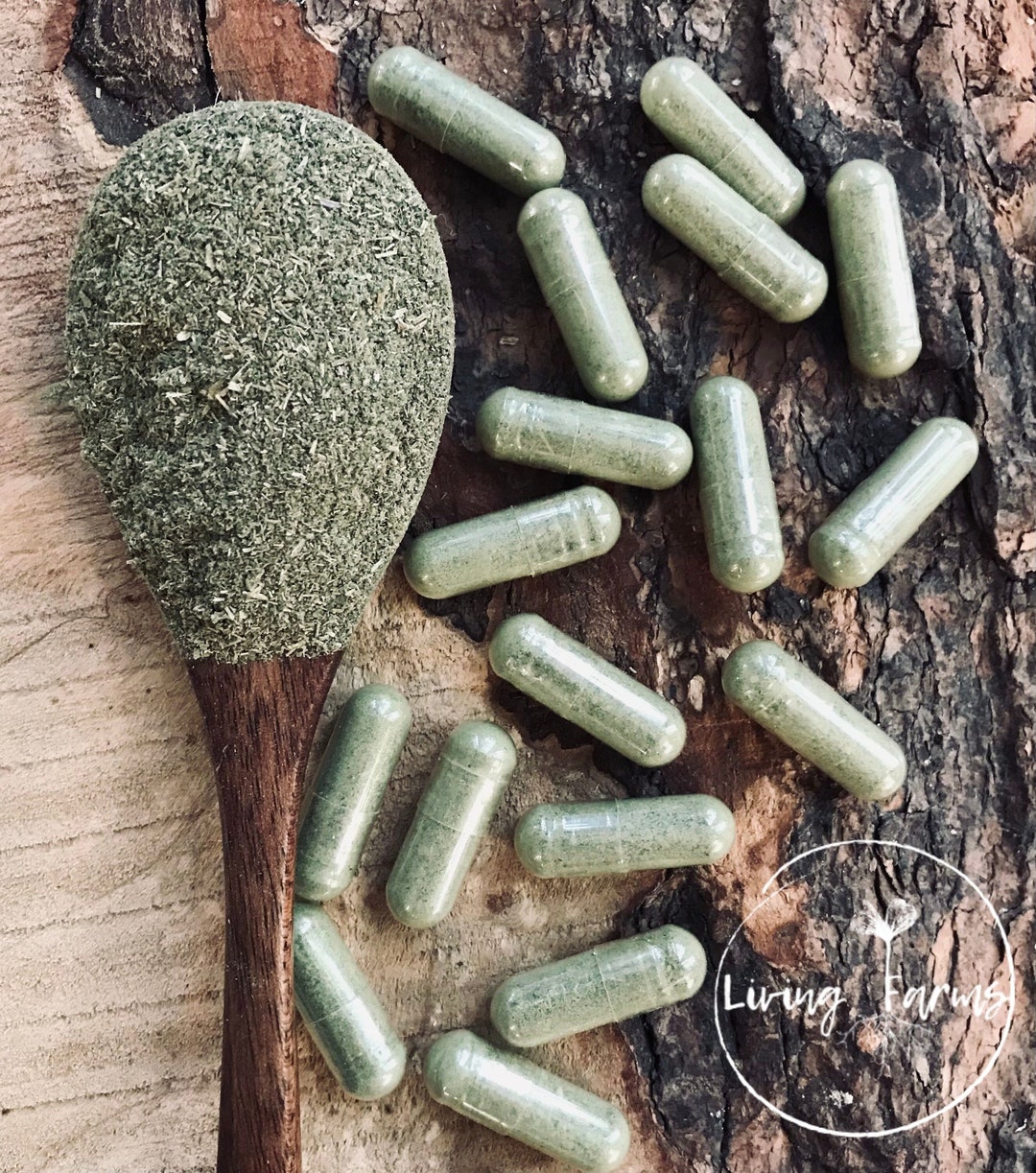 Cistus Incanus rock Rose Capsules - Etsy