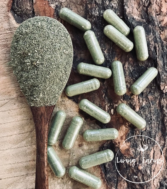 Cistus Incanus rock Rose Capsules - Etsy