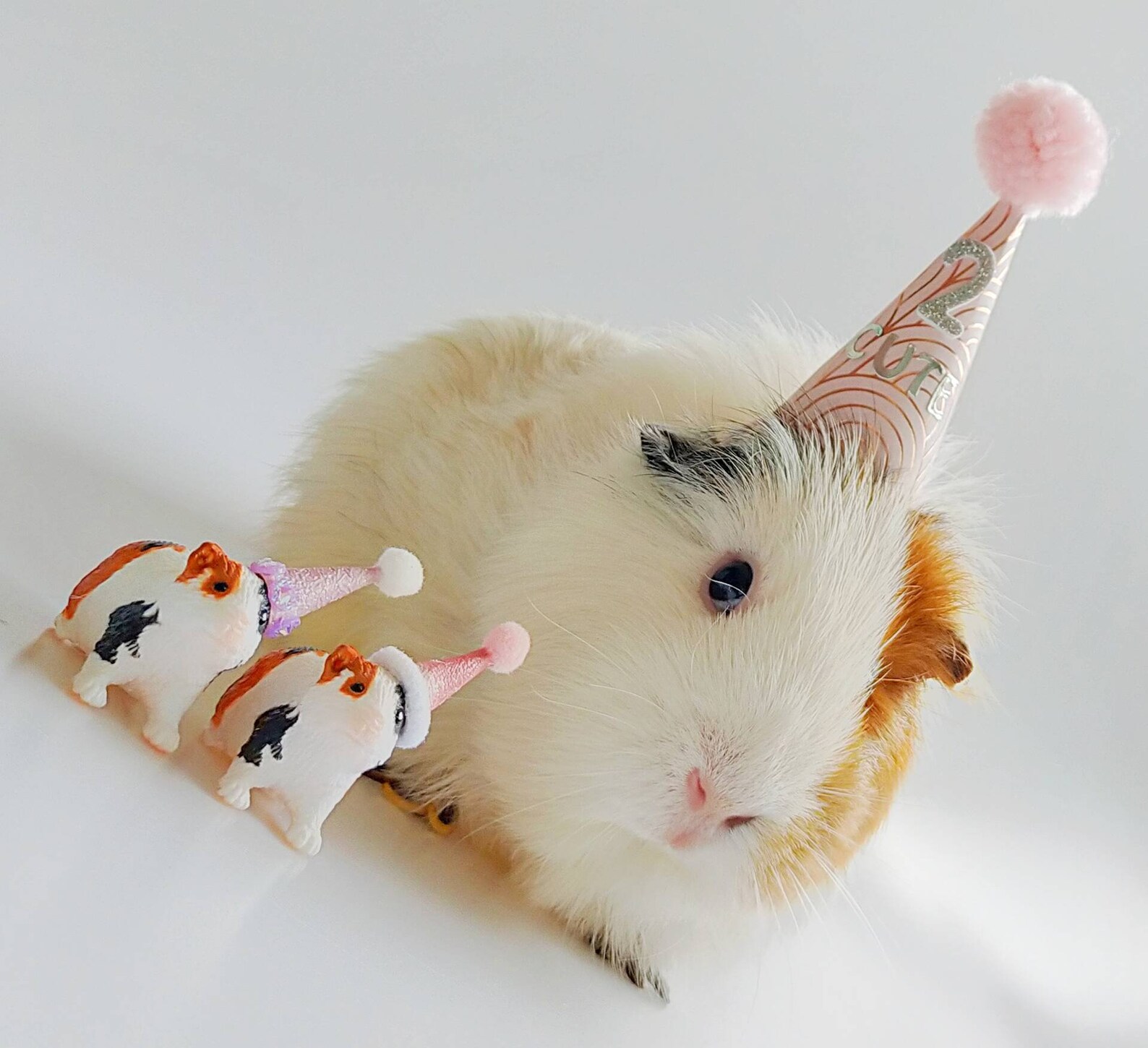 Guinea Pig Cake Topper Cake Topper Party Decoration - Etsy