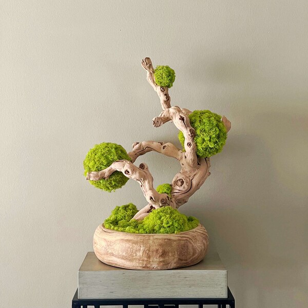 Moss Table Decor - Etsy