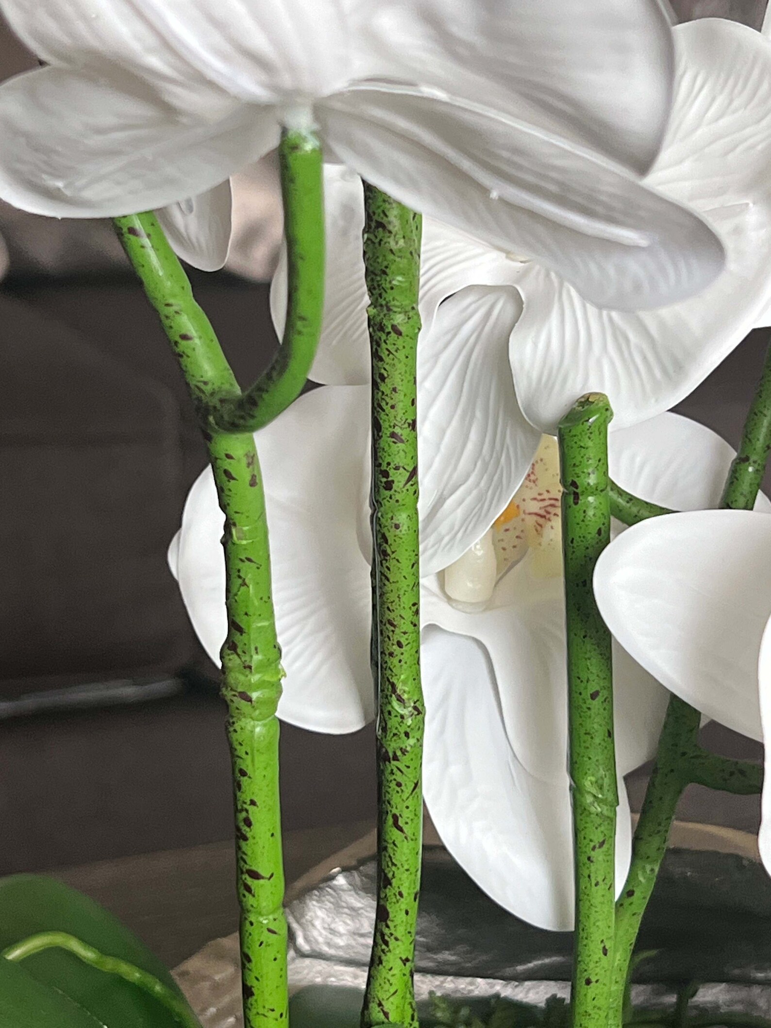 Modern Real Touch Orchid Centerpiece, White Floral Arrangement - Etsy