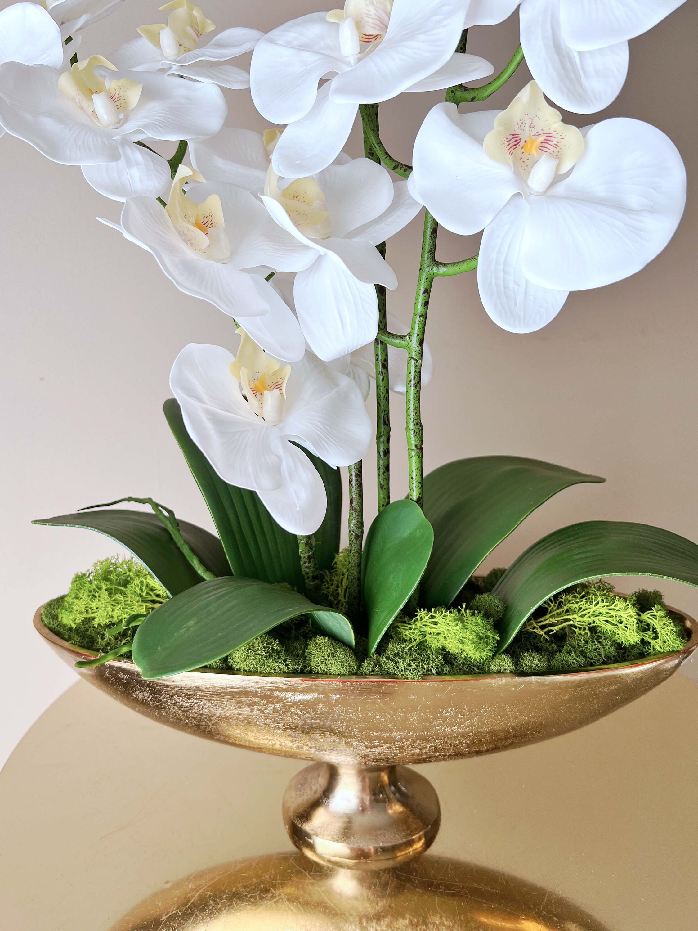 Orchids Centerpiece, Real Touch Orchid Arrangement, Preserved Moss ...