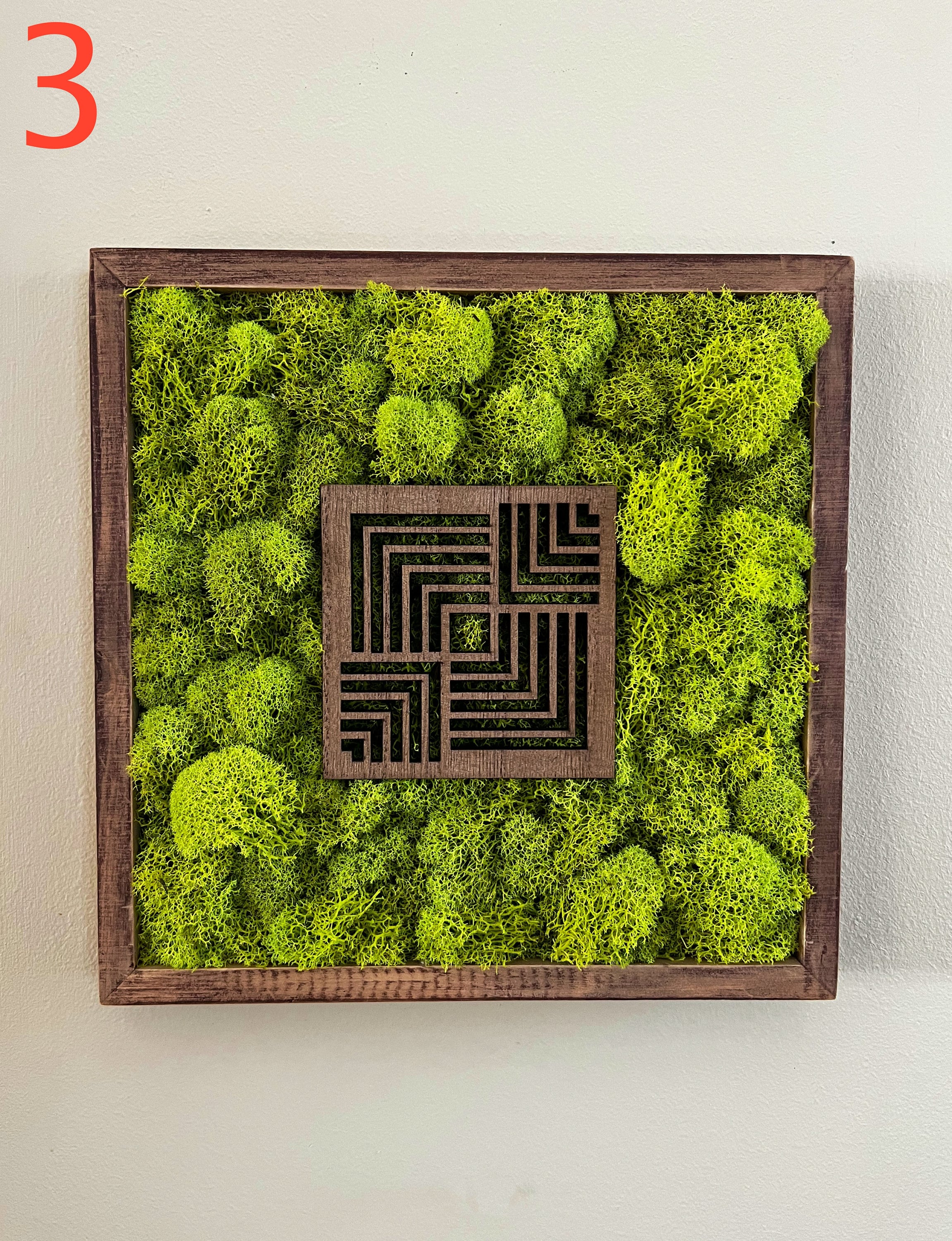 Moss Wall Art, Preserved Moss Art, Natural Wood Frame - Etsy