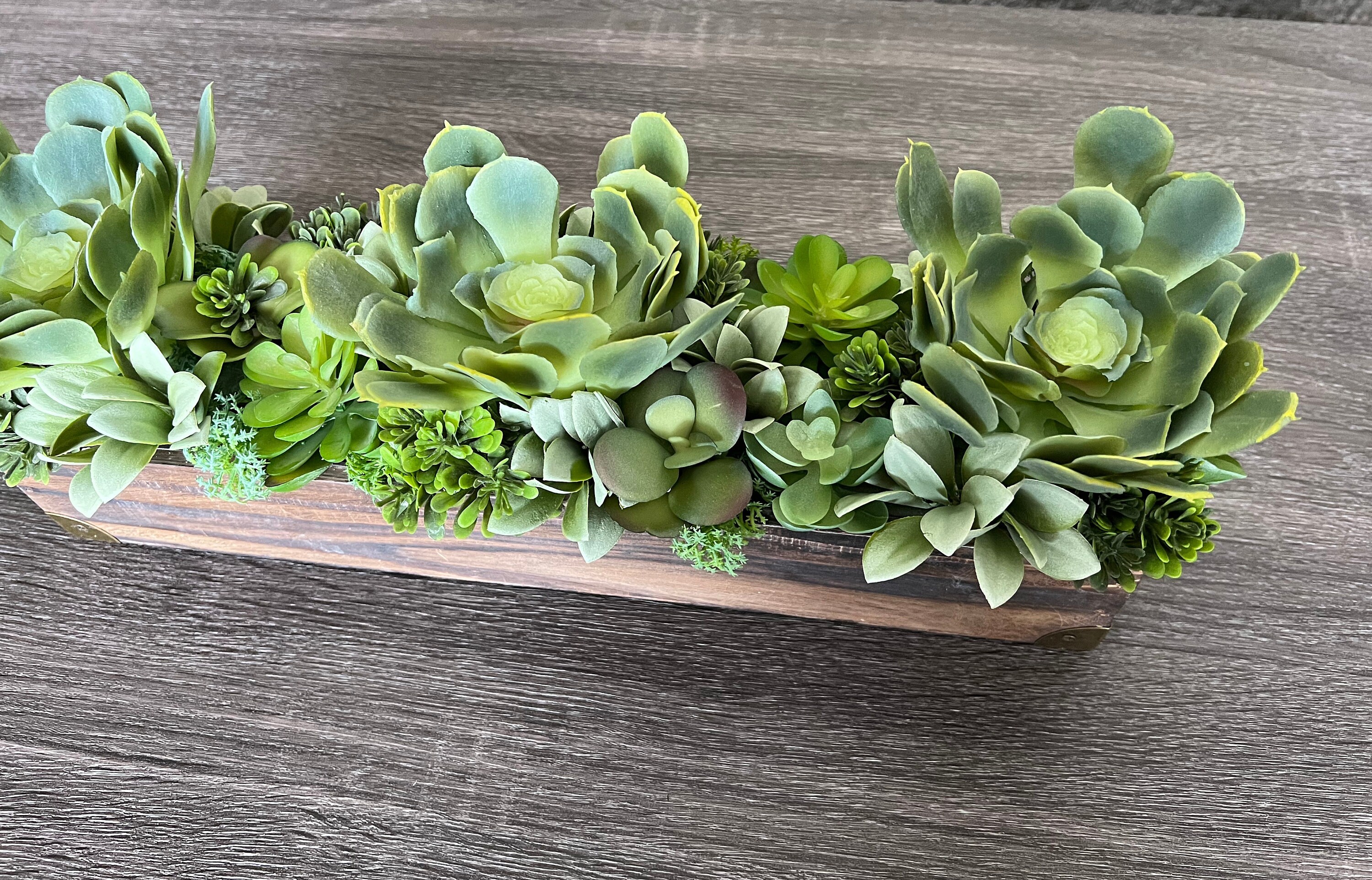 Dining Room Table Succulents Centerpiece Farmhouse Kitchen | Etsy