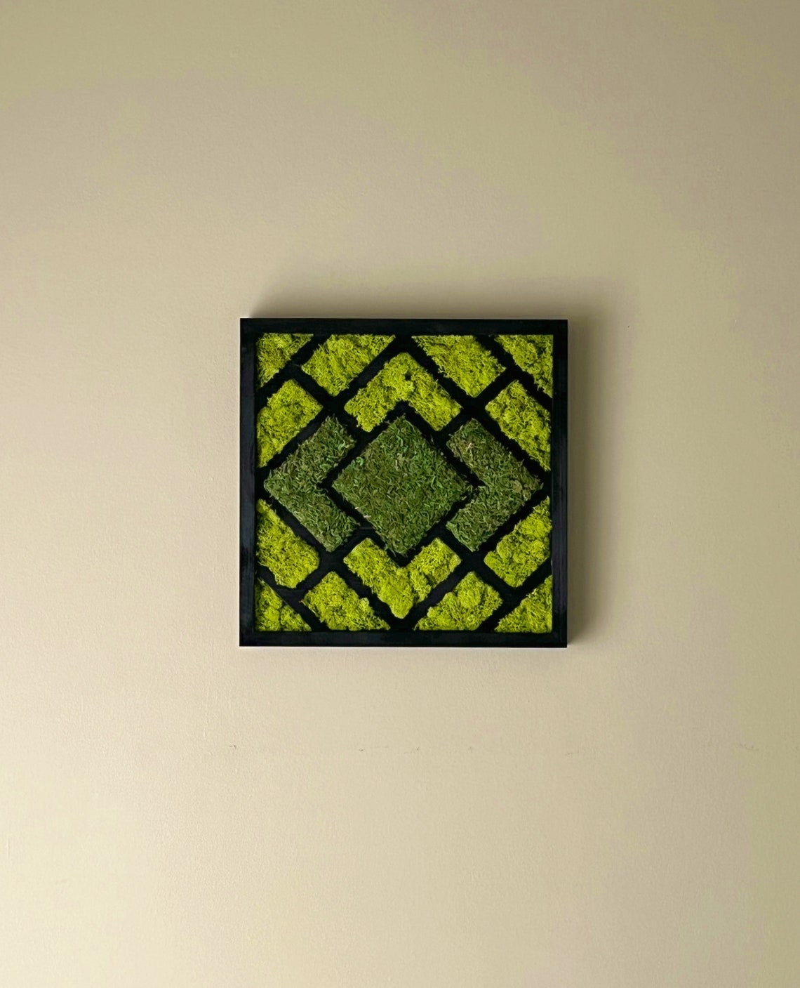 Modern Geometric Moss Wall Panel 16'', Black Framed Wall Art, Preserved ...