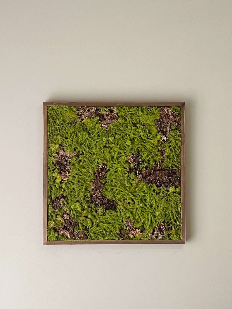Moss Wall Decor, Mixed Moss Wall Art, Moss Art Home Decor 20x20inch - Etsy