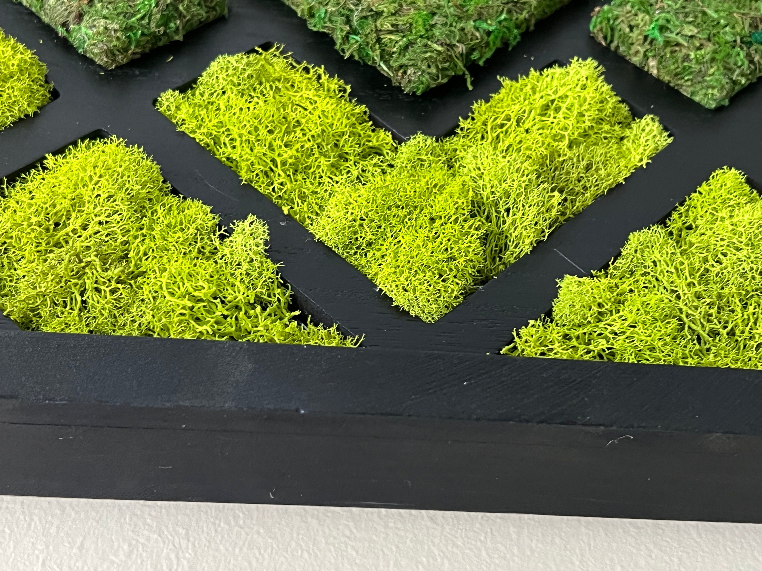 Modern Geometric Moss Wall Panel 16'', Black Framed Wall Art, Preserved ...
