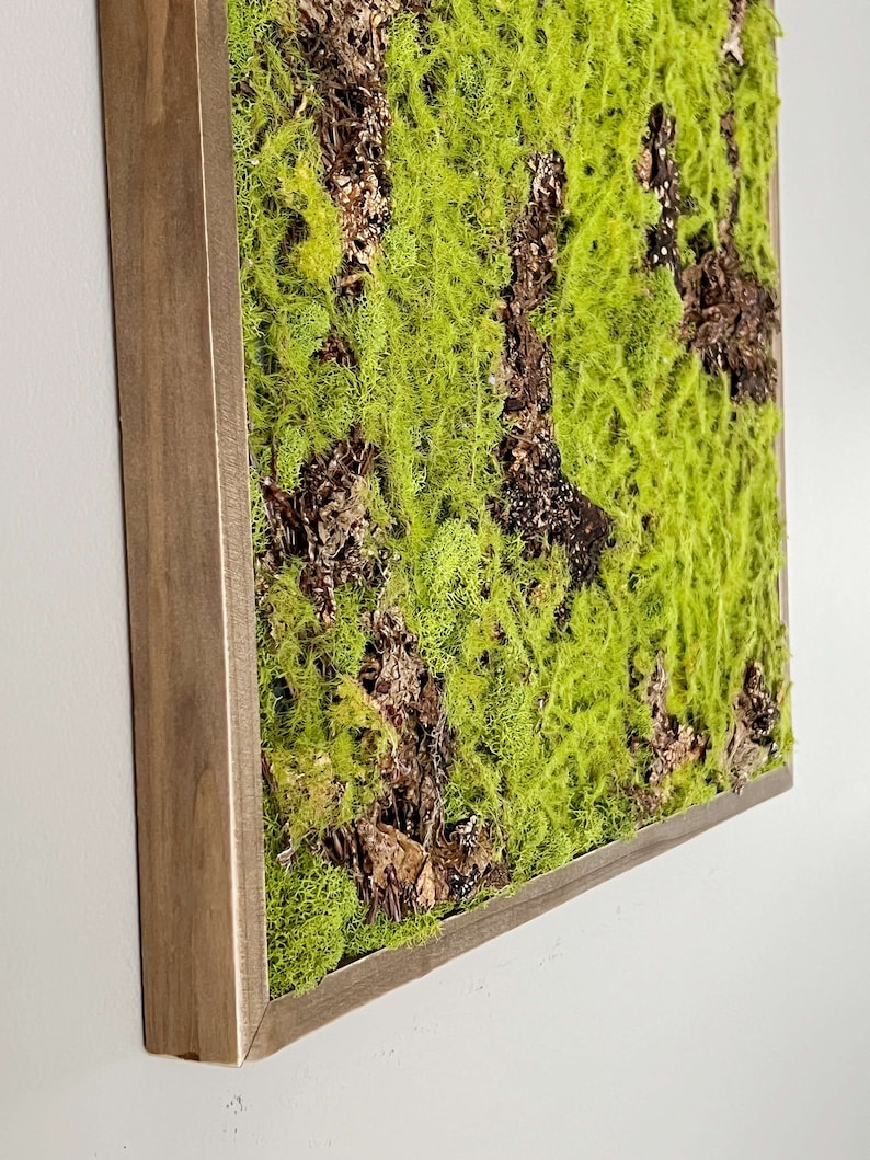 Moss Wall Decor, Mixed Moss Wall Art, Moss Art Home Decor 20x20inch - Etsy