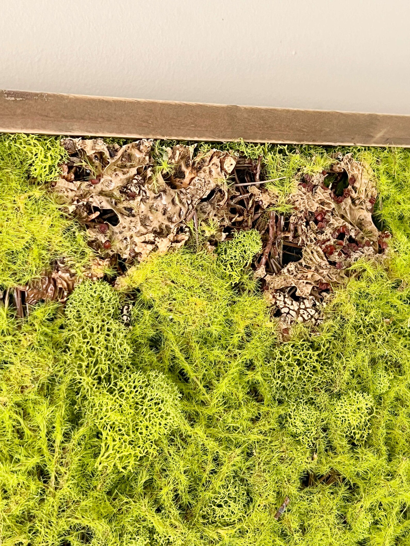Moss Wall Decor, Mixed Moss Wall Art, Moss Art Home Decor 20x20inch - Etsy