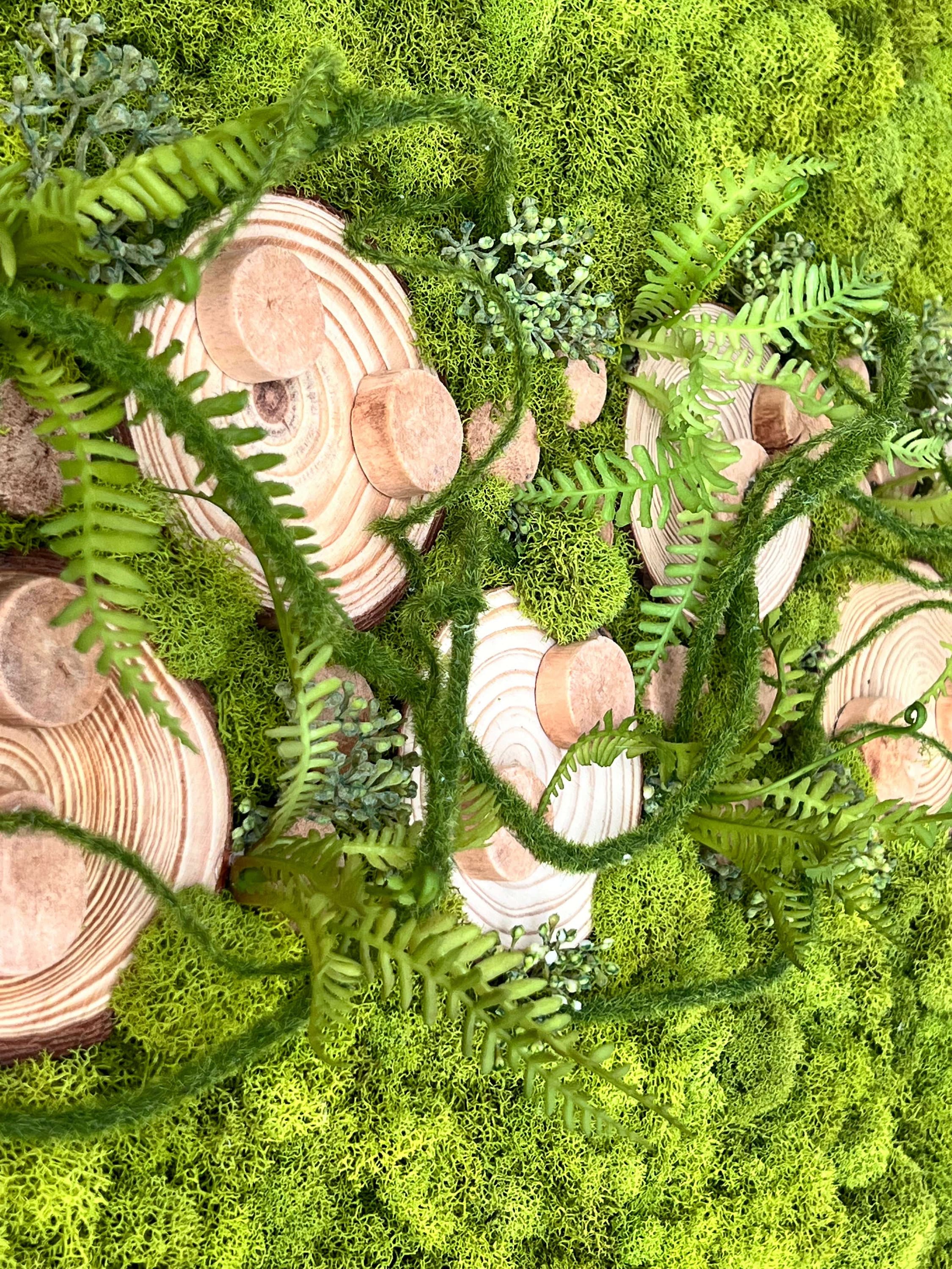 Real Moss Wall Art, Handmade , Preserved Moss Round Art, Wood Slices ...