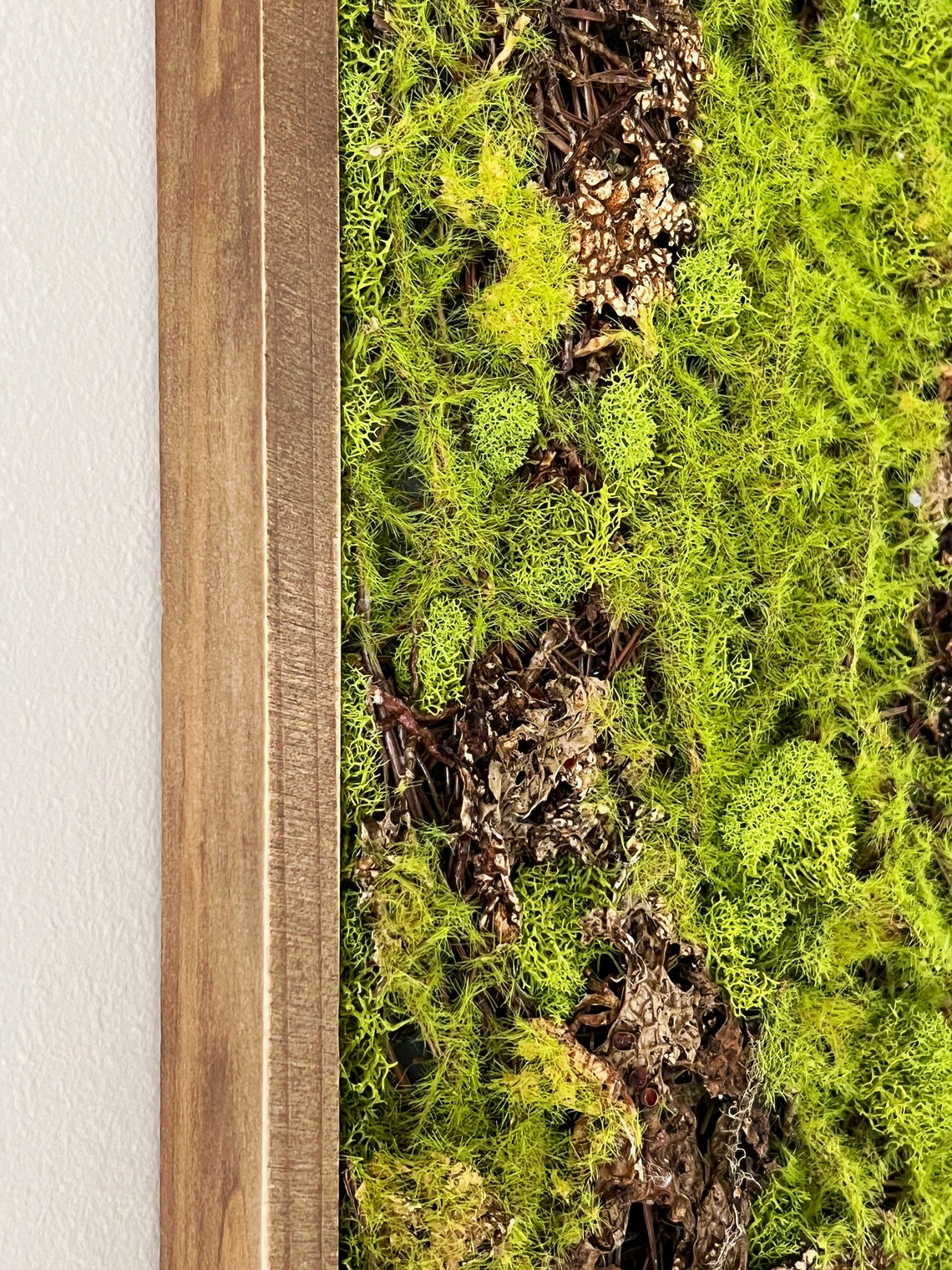 Moss Wall Decor, Mixed Moss Wall Art, Moss Art Home Decor 20x20inch - Etsy