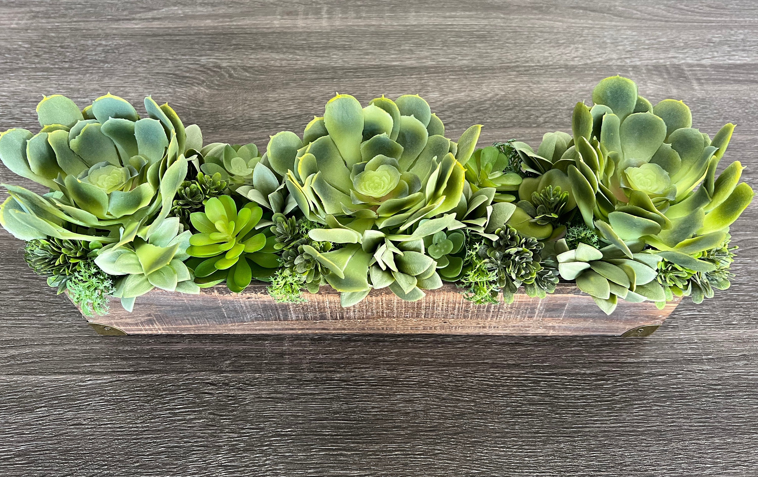 Dining Room Table Succulents Centerpiece Farmhouse Kitchen | Etsy