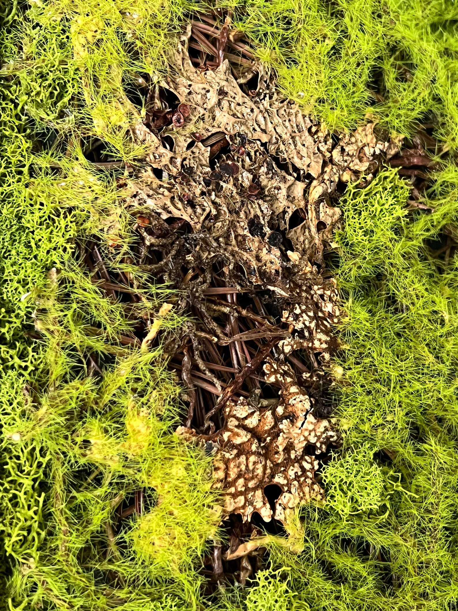 Moss Wall Decor, Mixed Moss Wall Art, Moss Art Home Decor 20x20inch - Etsy