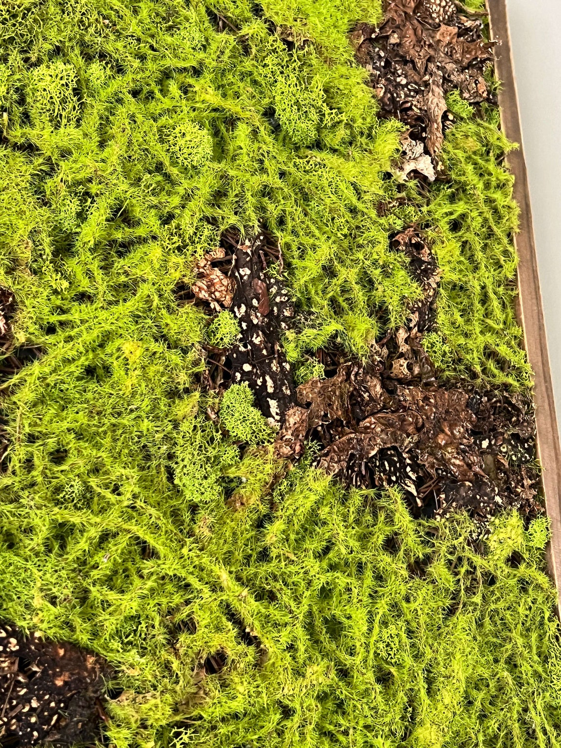Moss Wall Decor, Mixed Moss Wall Art, Moss Art Home Decor 20x20inch - Etsy