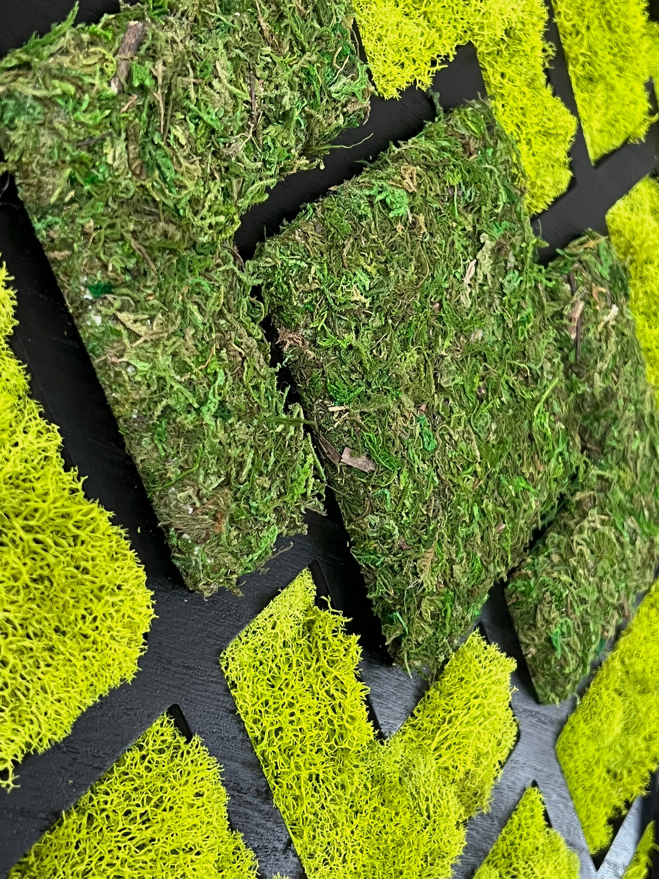 Geometric Moss Wall Art 16x16, Chevron Preserved Moss Art ,moss Wall ...