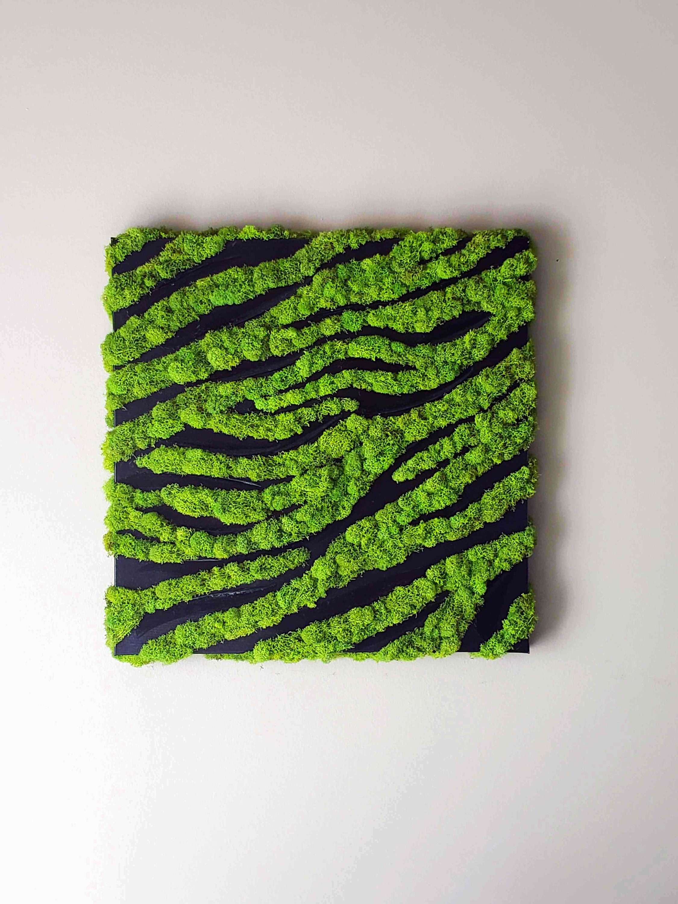 Modern Moss Wall Art, Handing Wall Moss Decor, Zebra Style Wall Art ...