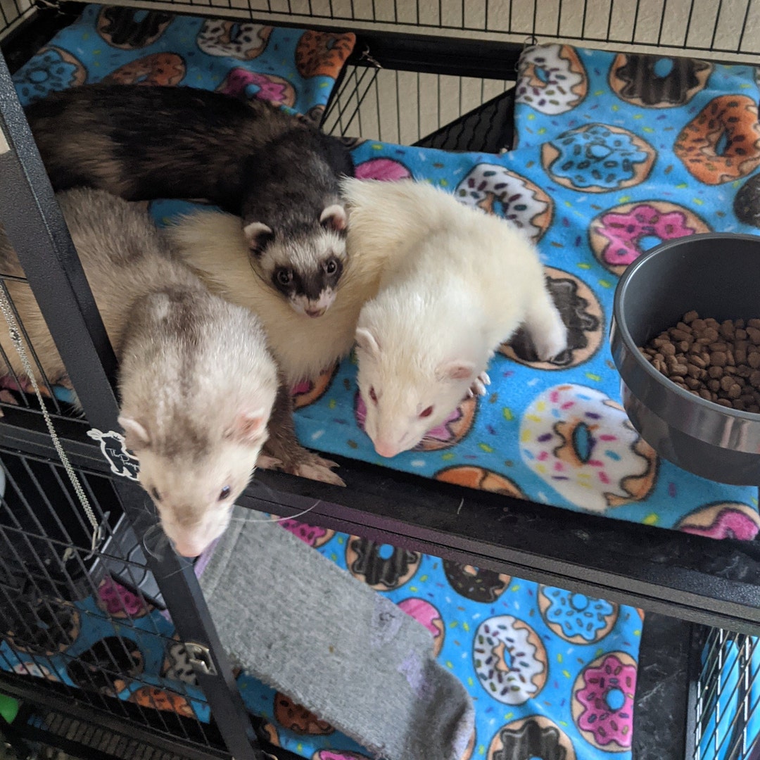 Critter Ferret Nation Feisty Ferret Two Story Cage Liners WITH Ramp ...