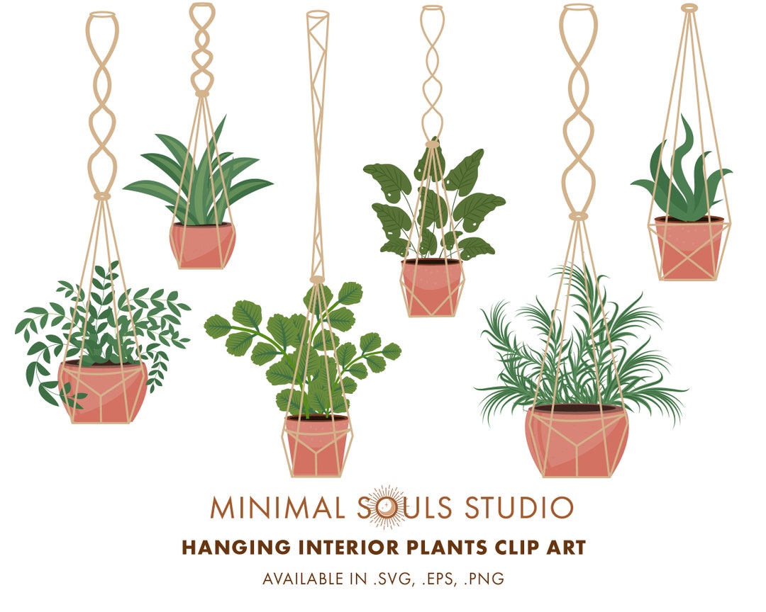 Set of 6 Hanging Indoor Plants Clipart, Vectors, Icons, EPS Instant ...