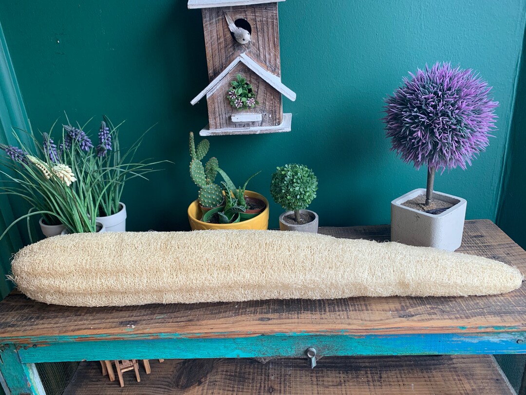 25 Huge Loofah Unique Gift for Mothers Day All Vegan - Etsy Israel