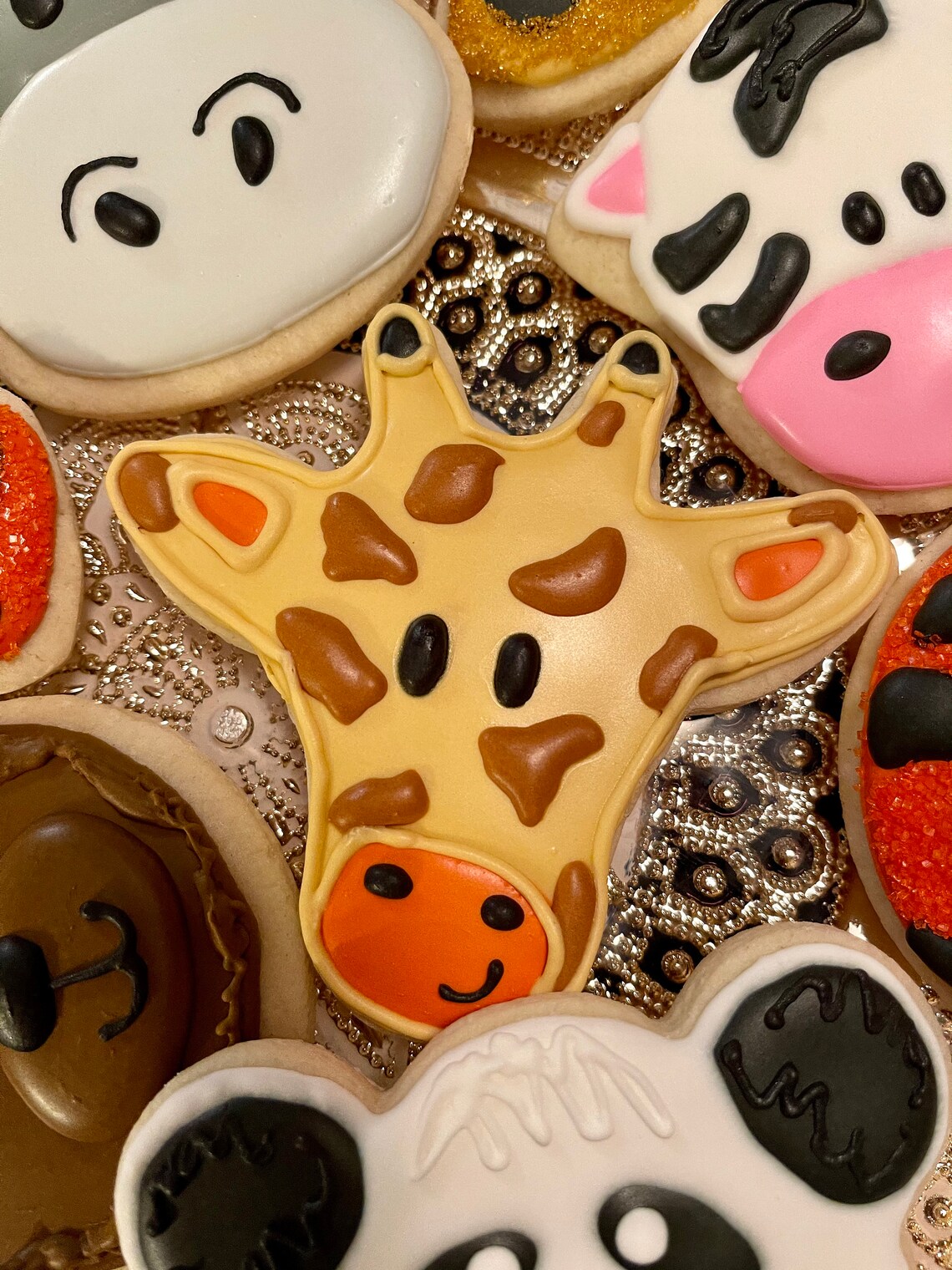 Zoo Safari Birthday Cookies 1 Dozen Baby Birthday | Etsy