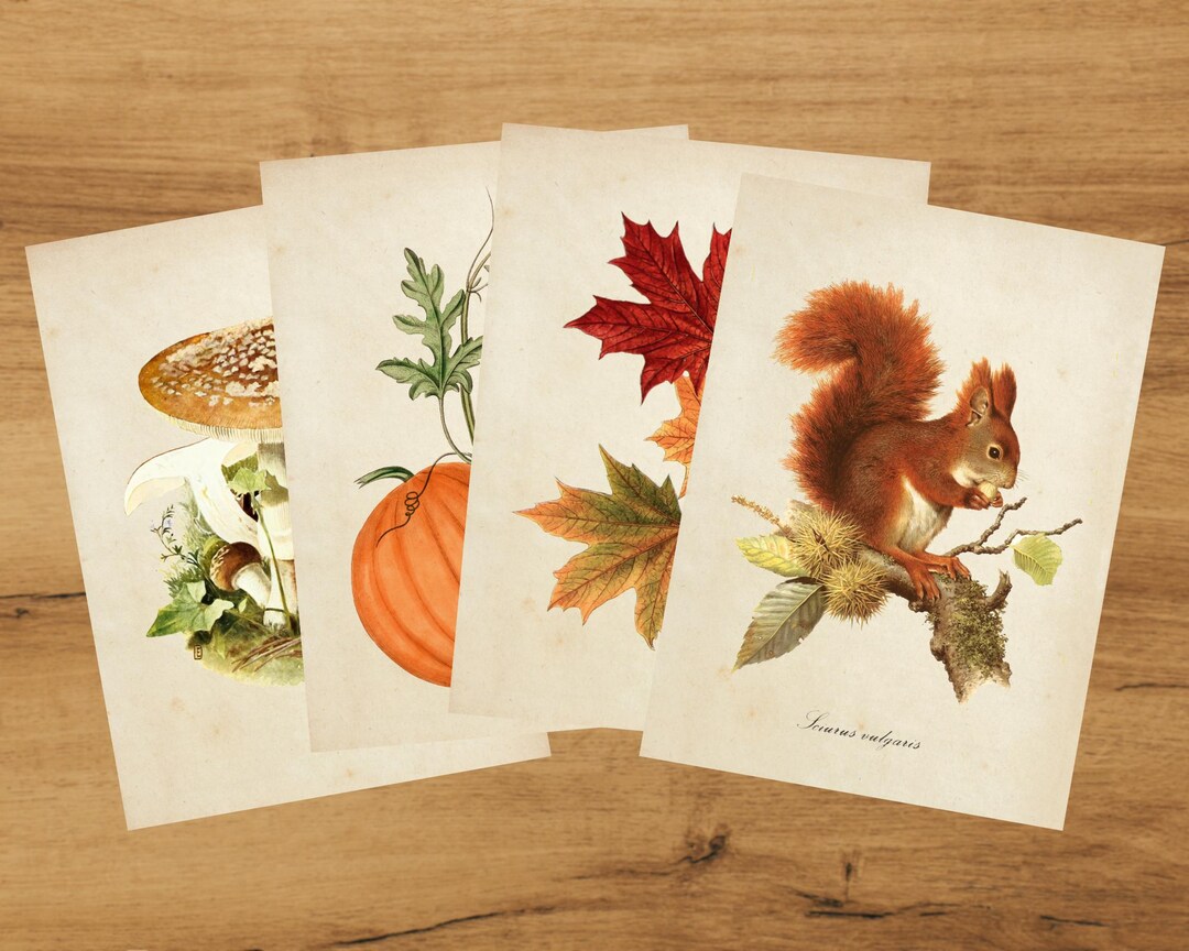 Botanical Postcards - Autumn Set | Scrapbook | Snailmail | Vintage ...