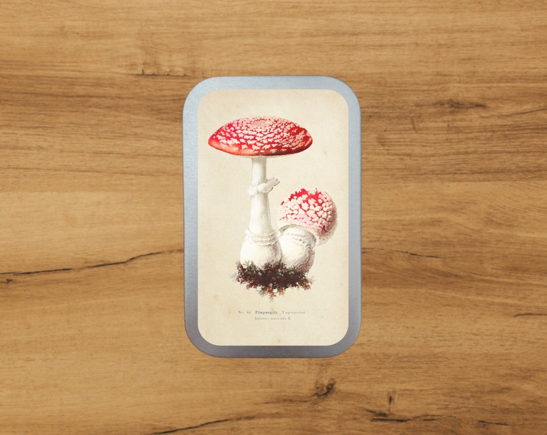 Aluminium Tin With Antique Botanical Print | Agaric Mushroom | Storage ...
