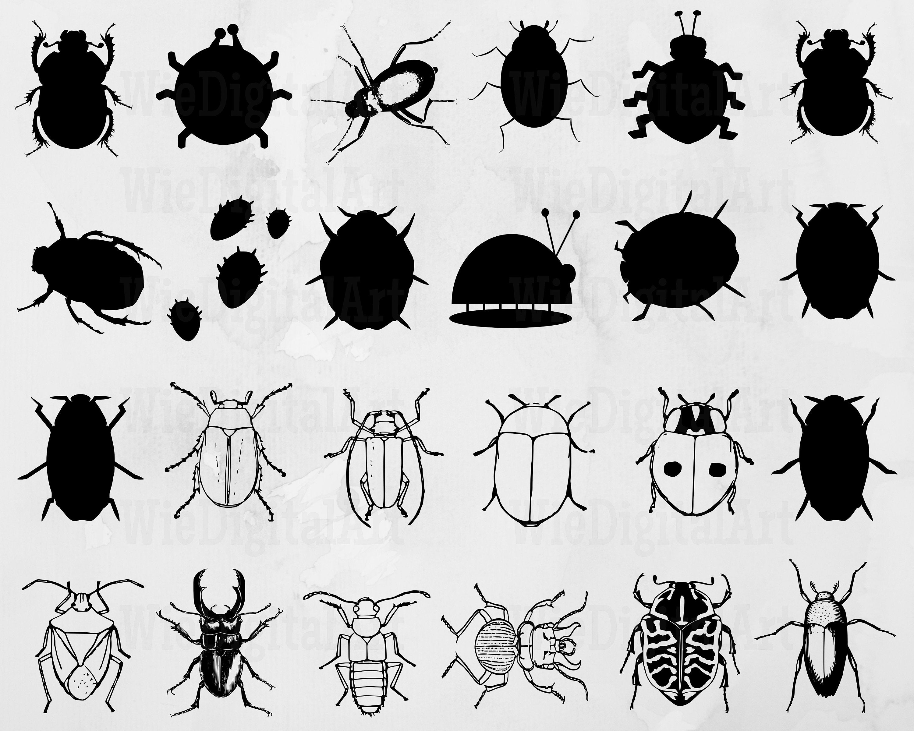 Beetle svg Beetle Silhouette Beetle svg bundle Beetle svg design Beetle ...