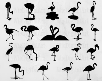 Pink Flamingo Skeleton SVG Halloween Flamingo Halloween - Etsy