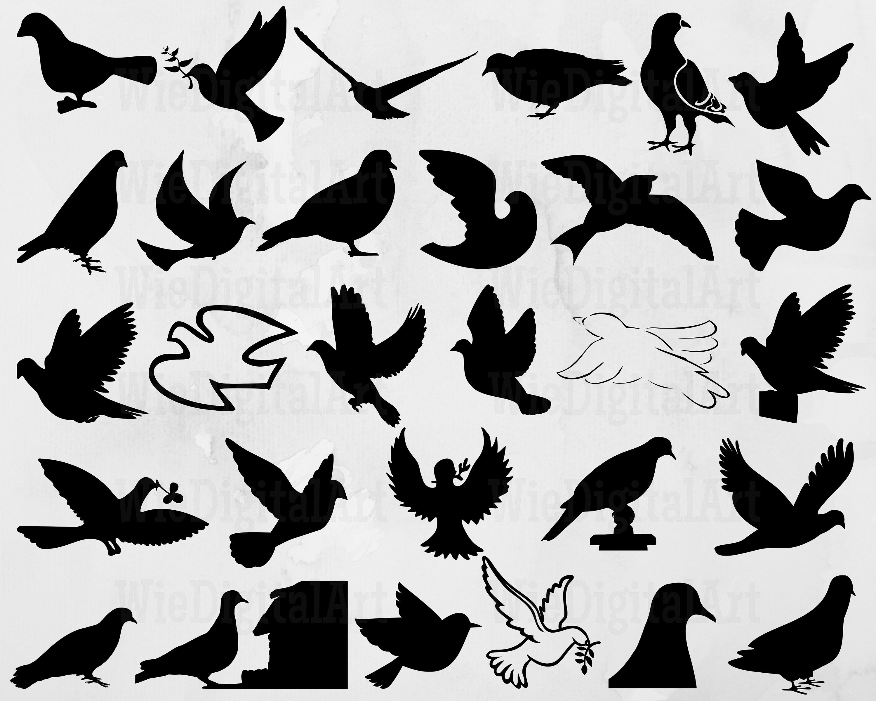Pigeon Svg - Pigeon Silhouette - Pigeon Svg Bundle - Dove Svg Design ...