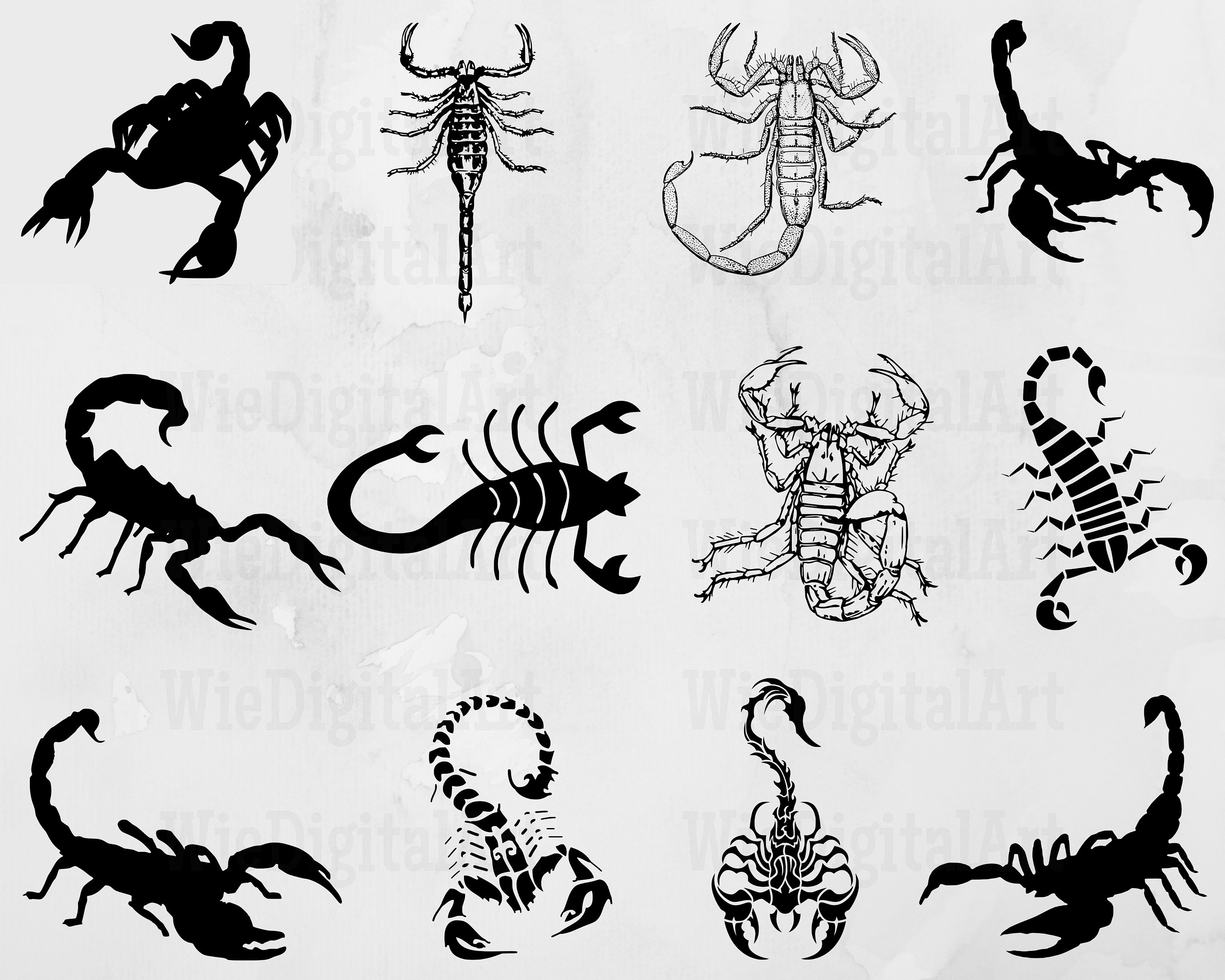 Scorpion Svg Scorpion Silhouette Scorpion Svg Bundle Scorpion Svg ...