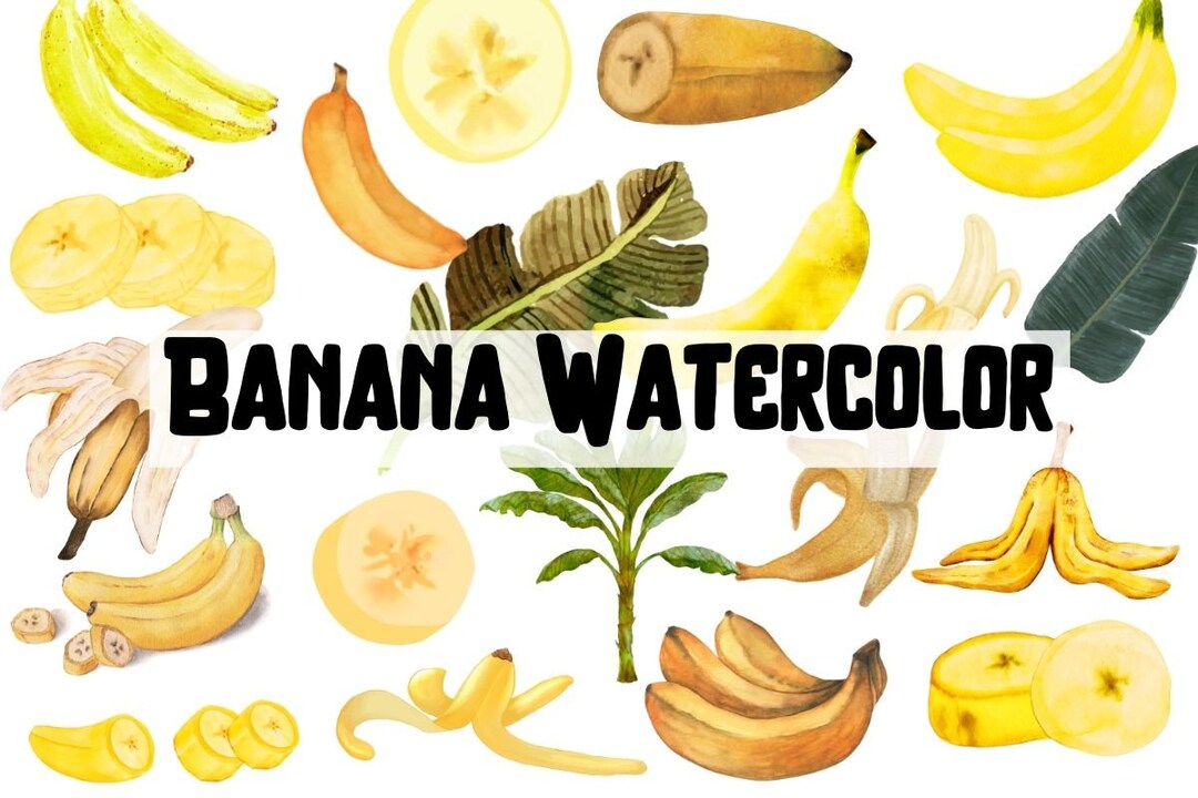 Watercolor Banana Clipart, Banana Clipart, Banana PNG, Banana Leaves ...