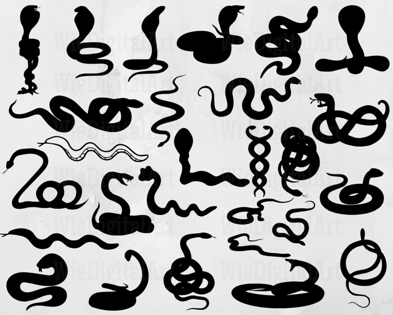 Snake Svg Snake Silhouette Snake Svg Bundle Snake Svg - Etsy