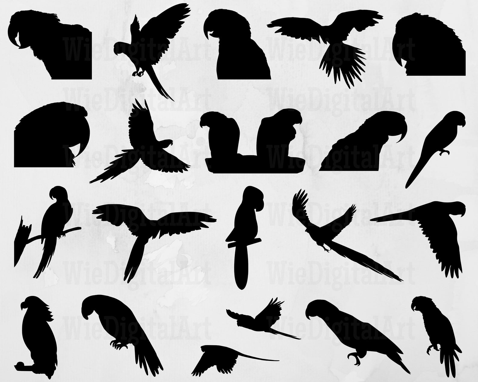 Parrot Svg - Parrot Silhouette - Parrot Svg Bundle - Parrot Svg Design ...