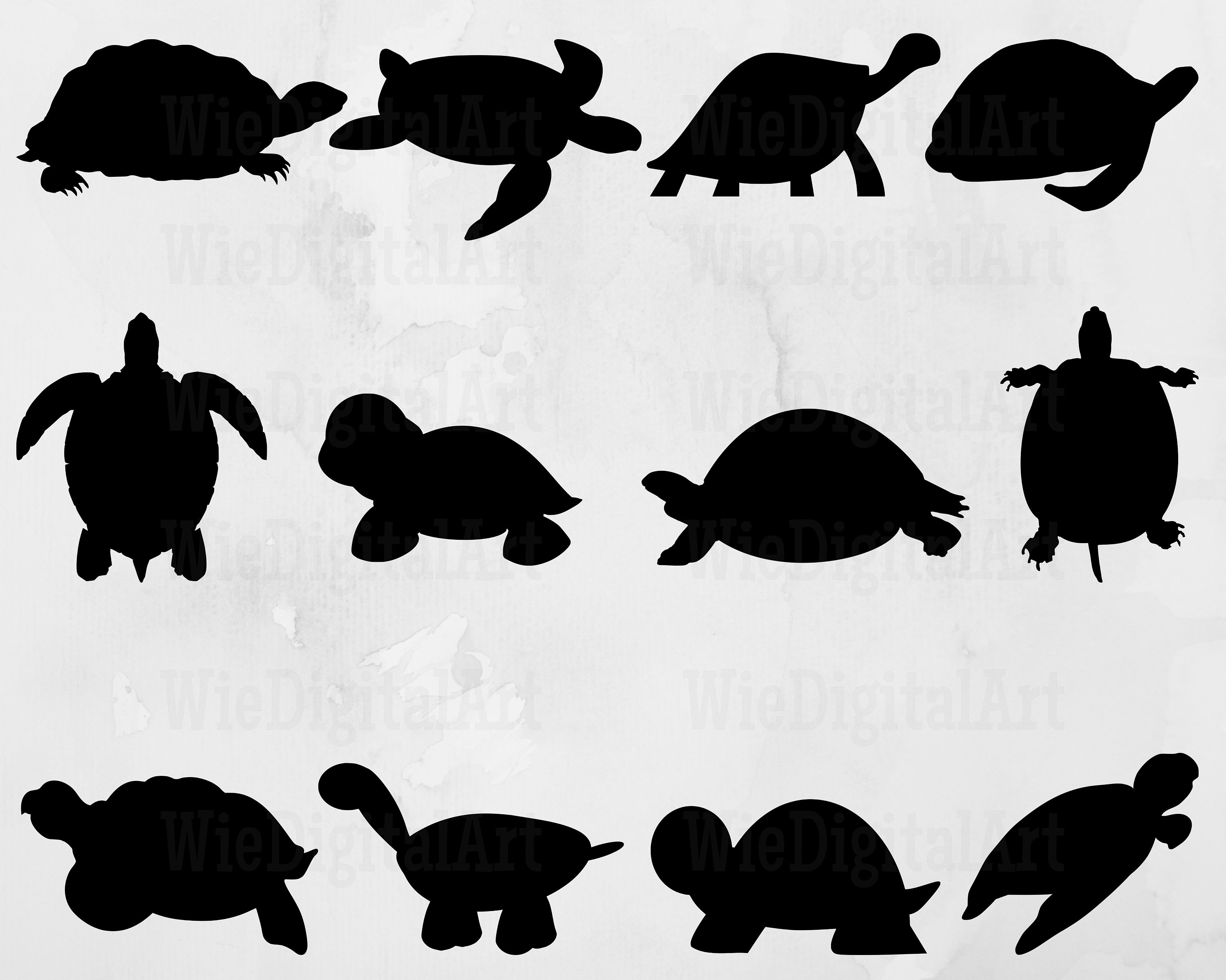 Turtle Svg Turtle Silhouette Turtle Svg Bundle Turtle Svg Design Turtle ...