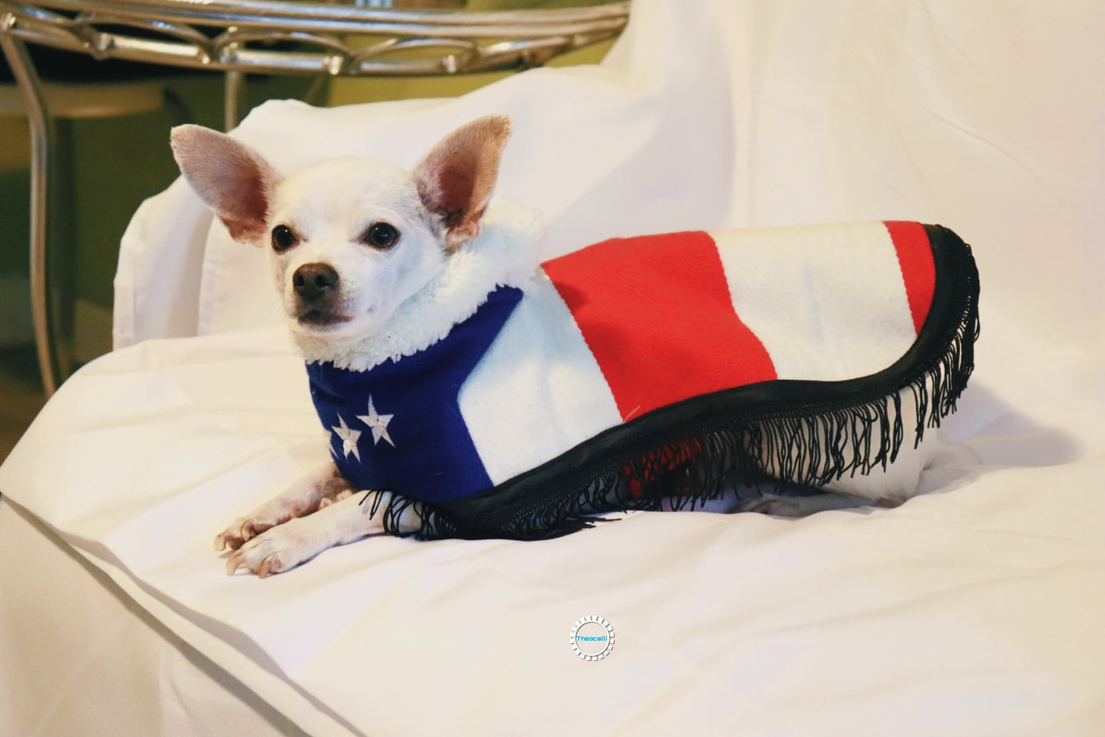 Ropa de perro Poncho Patriótico Americano Poncho perro hecho | Etsy